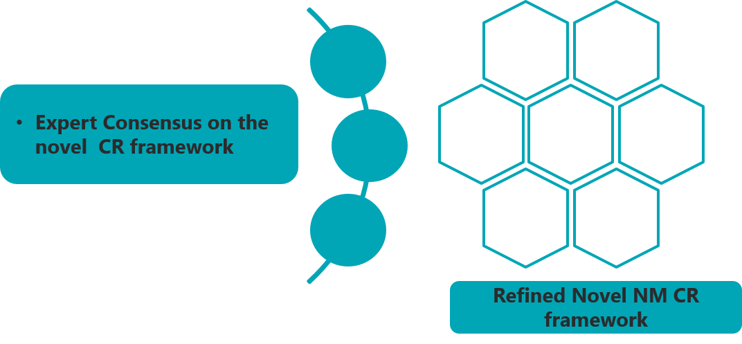 The Research Phases - clinicalreasoningframework.com